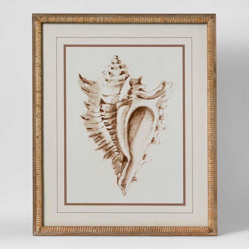 Conch Shell Wall Art A by Florabelle – Planet Linen